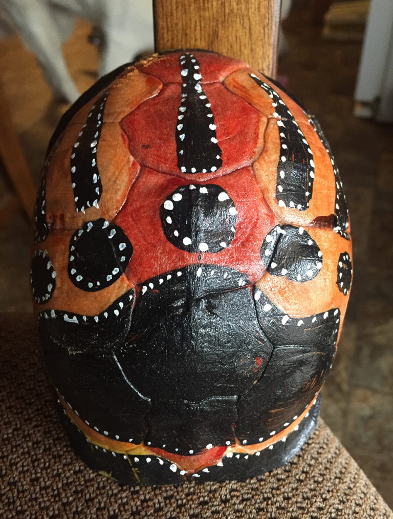 turtle, turtle shell, painted turtle shell, bear claw, turtle shell ...